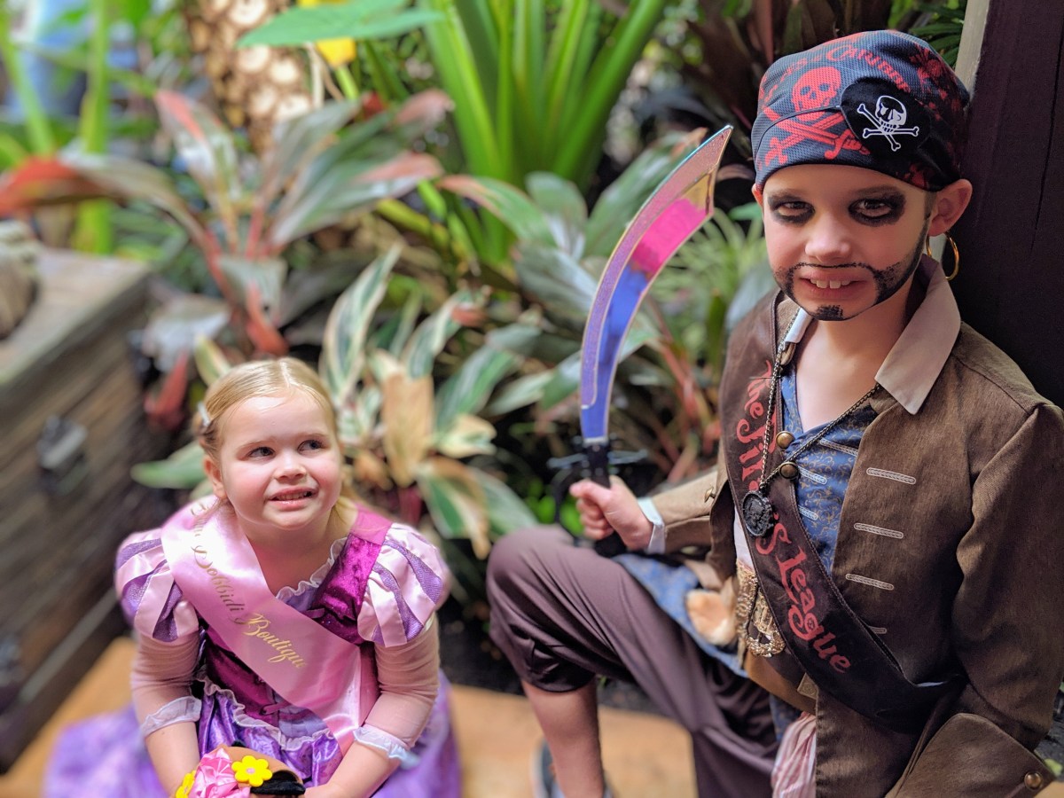 A Princess & a Pirate… – Lisa loves ALL things Disney